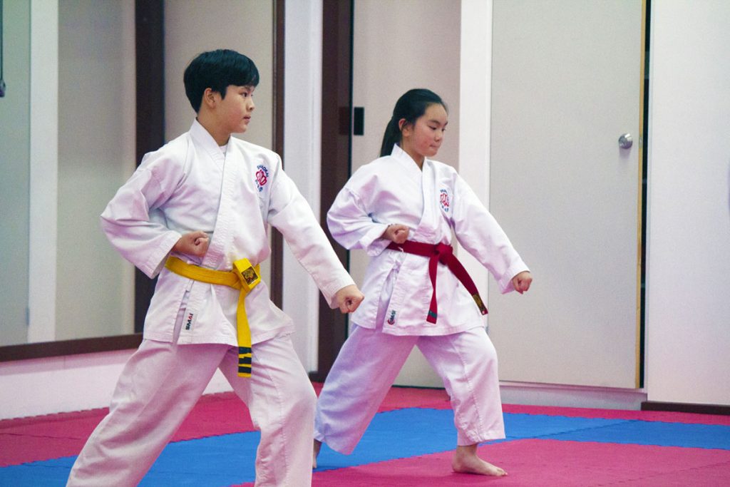 Unlocking Mental and Physical Power Through Karate