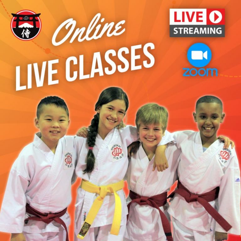 Learn Martial Arts Online | Online Martial Arts Classes